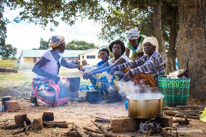 Assessing the effectiveness of food security and nutrition ...